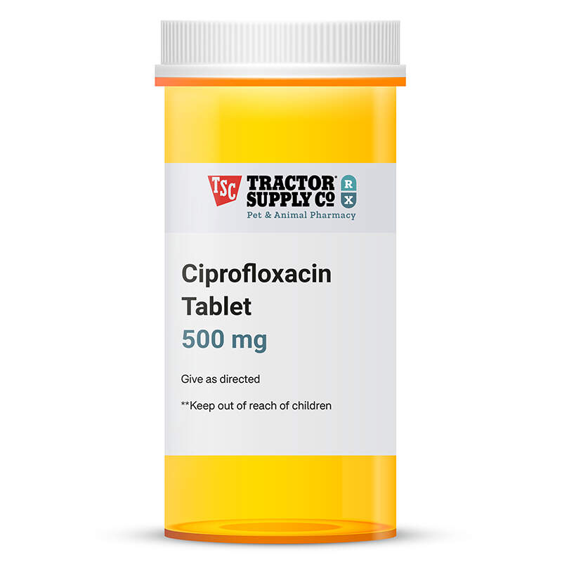 Ciprofloxacin 500Mg Tablet For Dogs & Cats At Tractor Supply Co
