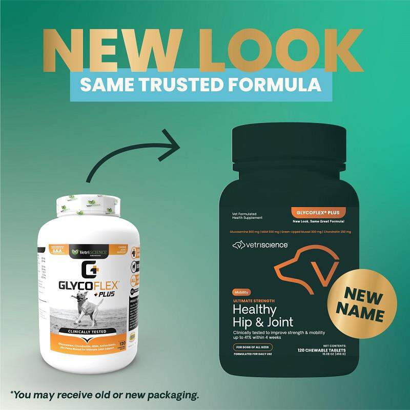 Vetri-Science Glyco-Flex Plus Chew Tabs for Dogs, 120 Ct ...