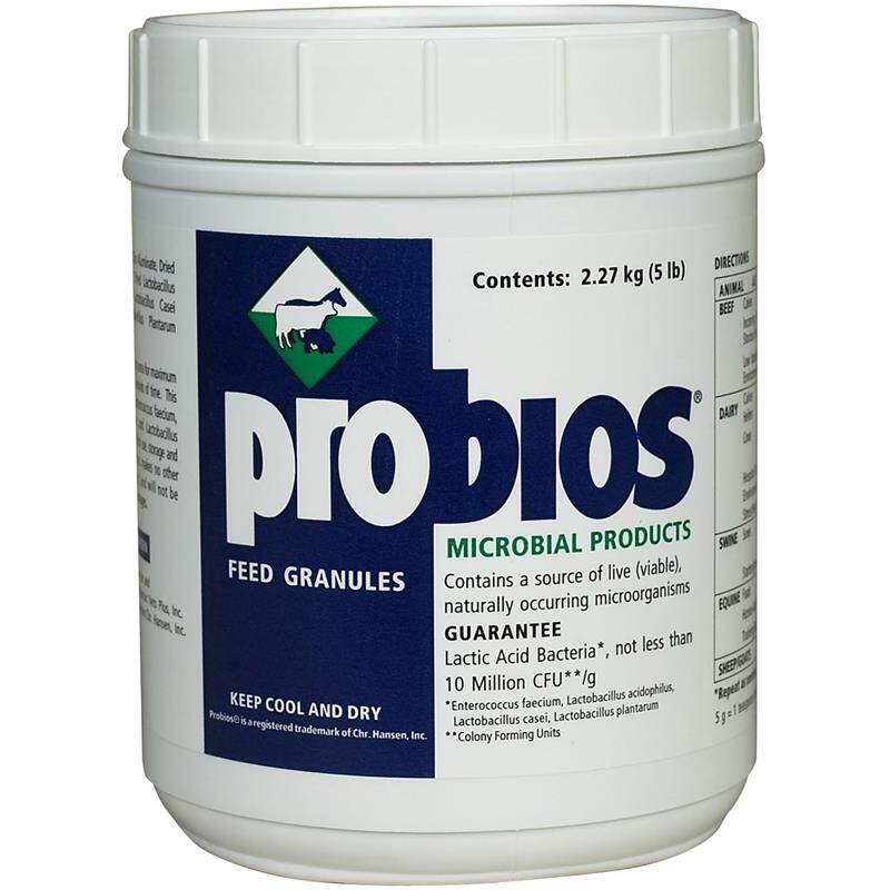Probios Feed Granules 5 Lb For Horses And Livestock At Tractor Supply Co