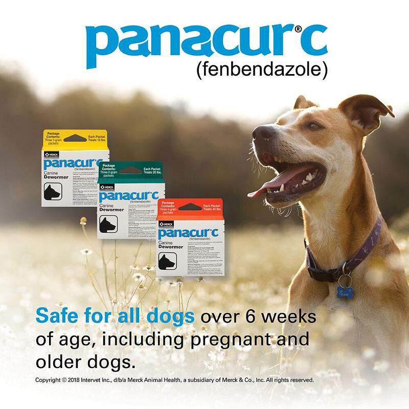 Panacur C Canine Dewormer For Dogs At Tractor Supply Co