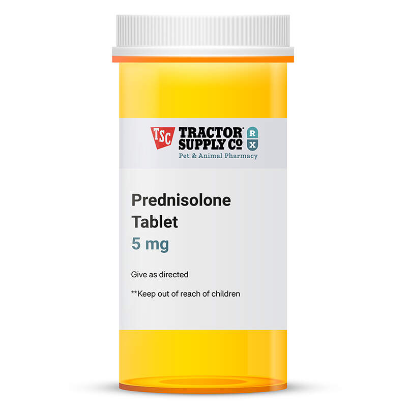 Prednisolone Tablet 5Mg For Dogs At Tractor Supply Co