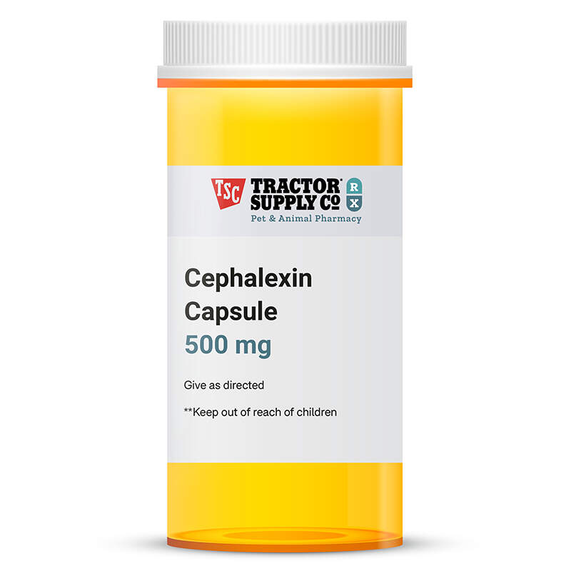 Cephalexin 250 Mg, 500 Mg For Dogs At Tractor Supply Co
