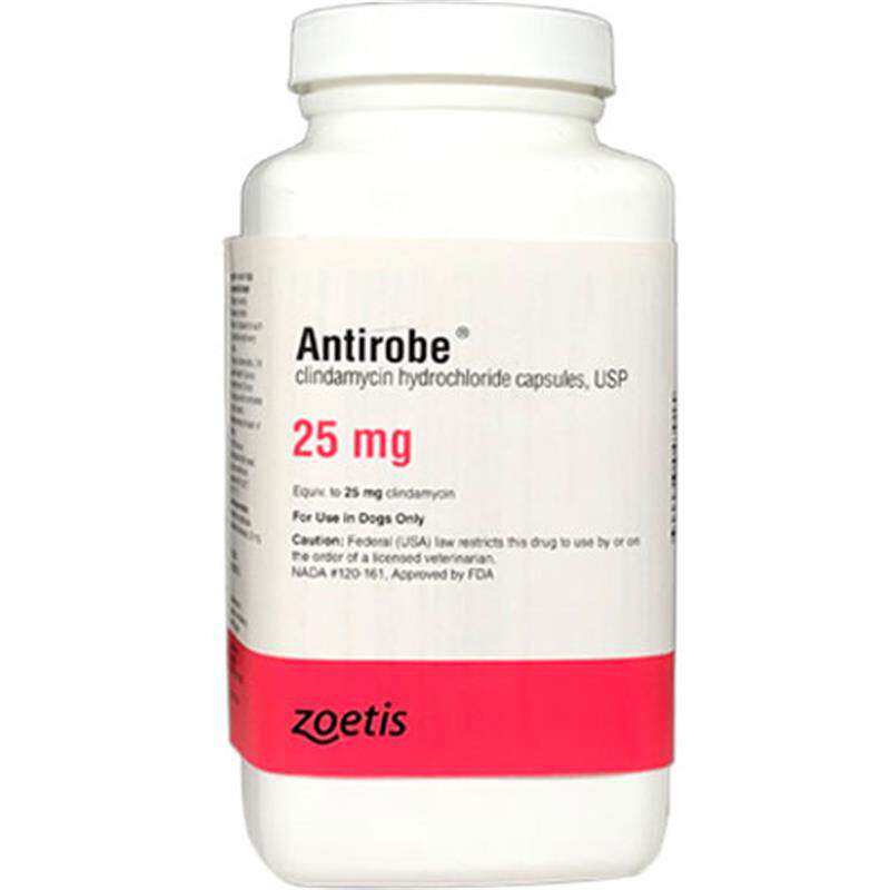 Antirobe Capsules For Dogs At Tractor Supply Co