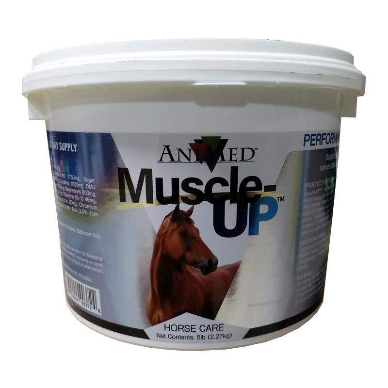 Animed Muscle-Up 5 Lbs Powder For Horses At Tractor Supply Co