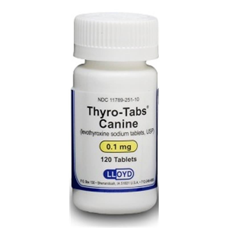 How Do I Give My Dog Thyroid Medicine